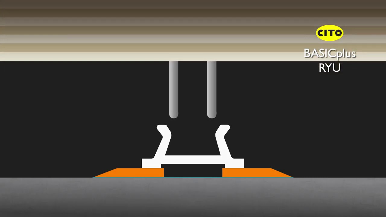 CITO BASICplus RYU - YouTube