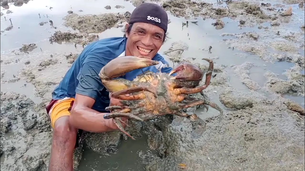 GIANT CRAB CATCH & COOK/GRABE Ang LAKI! napa_sigaw Ang KASAMA ko sa ...