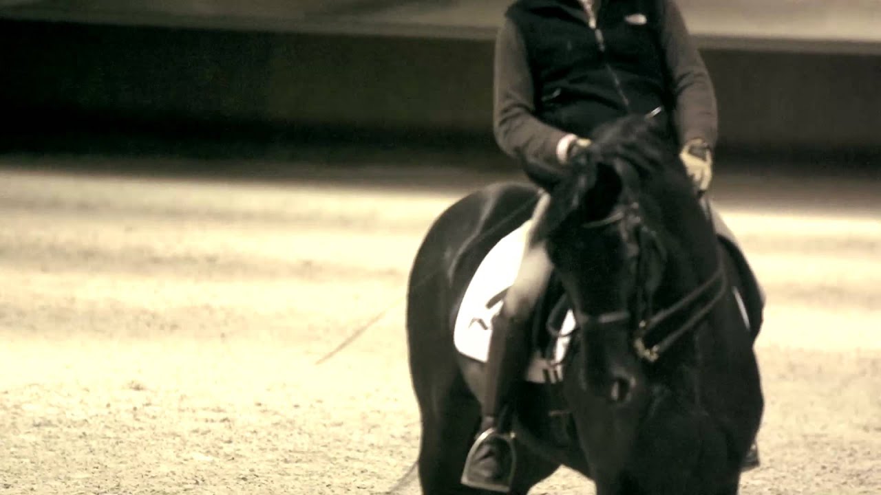 Slow motion horse - YouTube