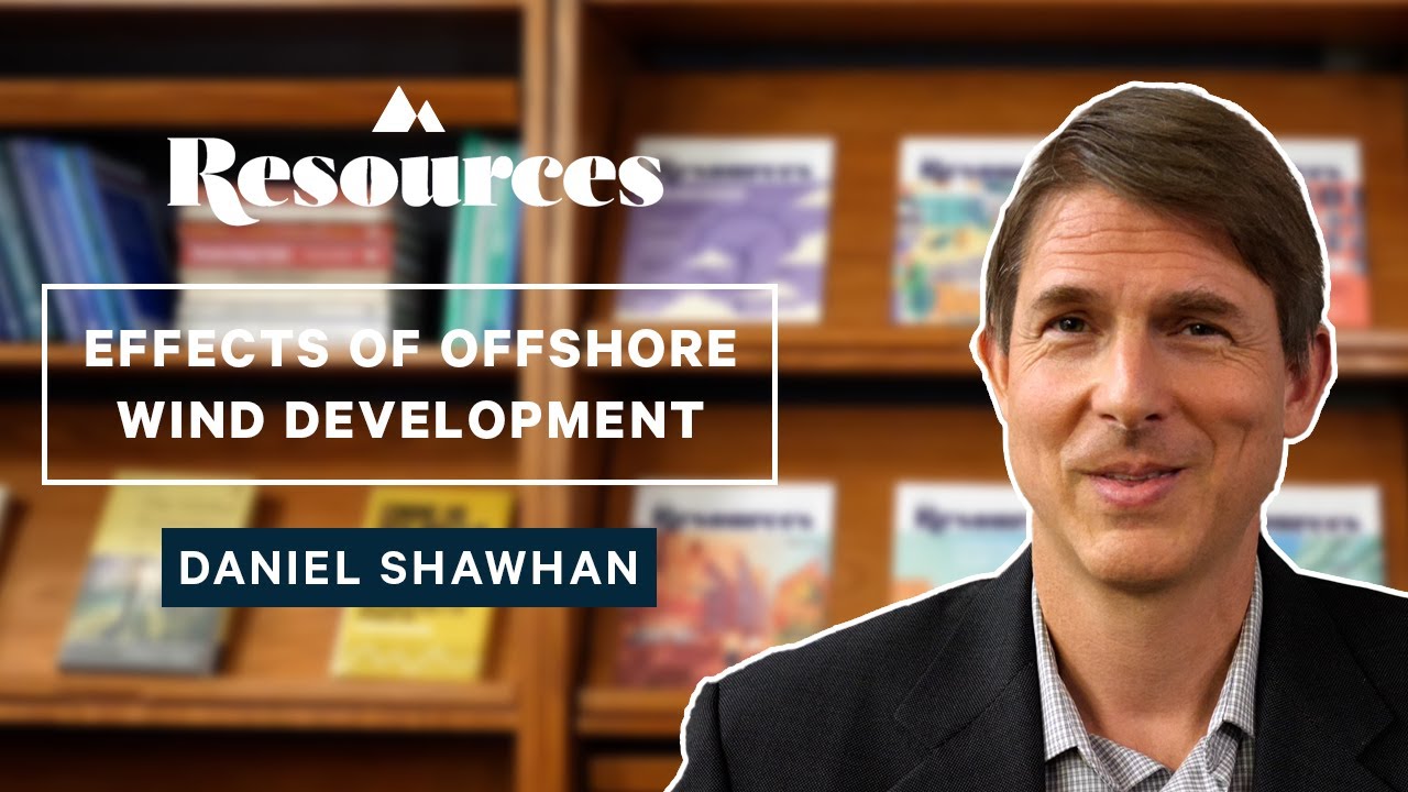 In Focus—Daniel Shawhan on the Effects of Offshore Wind Development ...