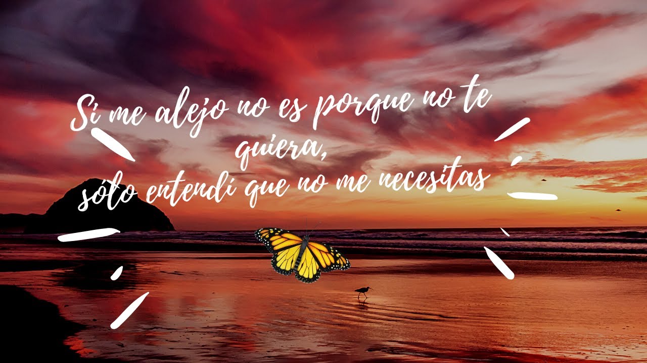 Si Me Alejo No Es Porque No Te Quiera S lo Entend Que No Me Necesitas si-me-alejo-no-es-porque-no-te-quiera-s-lo-entend-que-no-me-necesitas