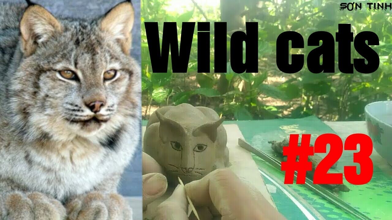 The challenge is to make a wildcat from clay (lynx) - SƠN TINH Official ...