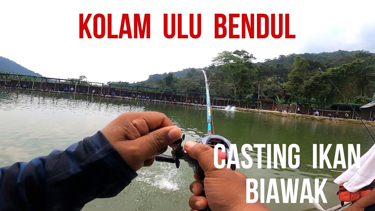 KOLAM ULU BENDUL, CASTING BIAWAK TAK ADA KAKI - YouTube