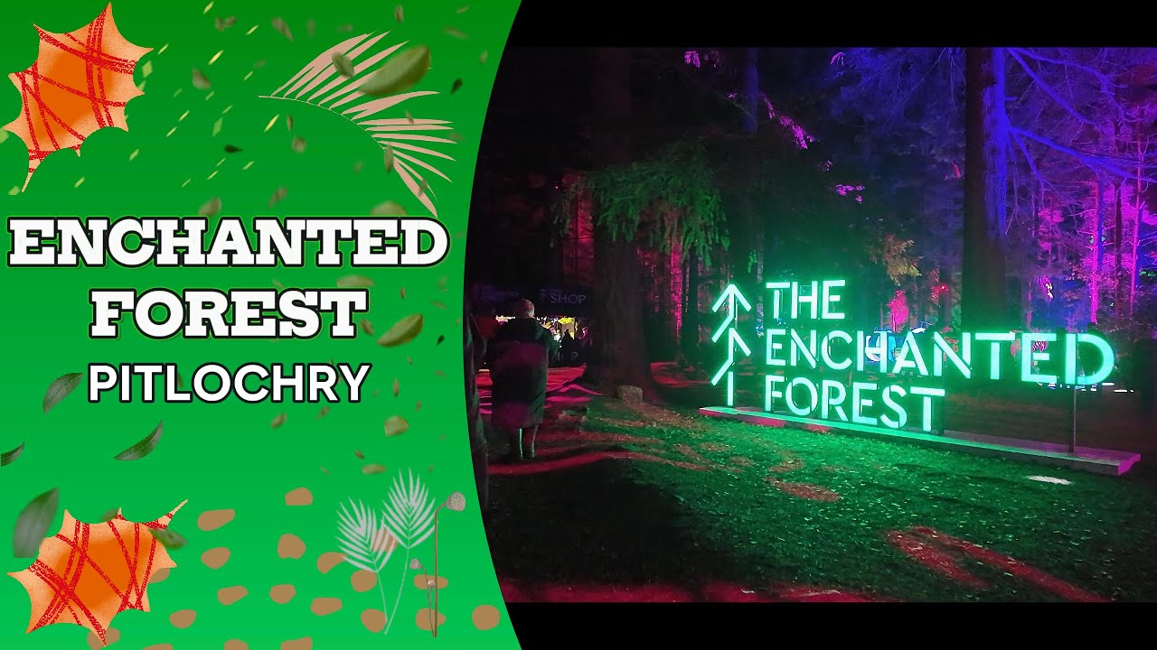 ENCHANTED FOREST | PITLOCHRY 2024 - YouTube