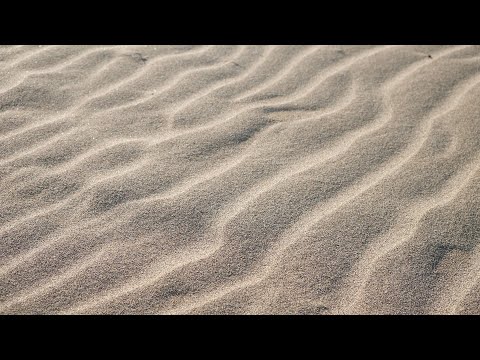 RUIDO MARRON 100 % NATURAL 🟤 | 10 Horas