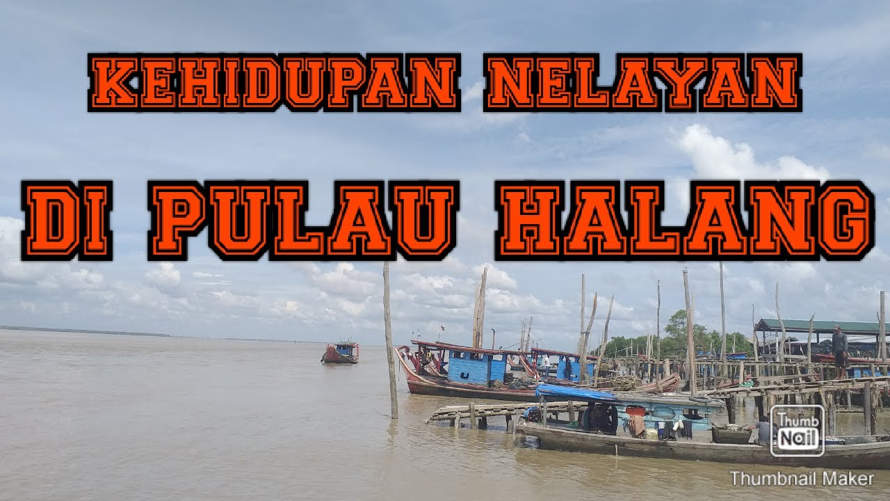 KEHIDUPAN NELAYAN DI PULAU HALANG - YouTube