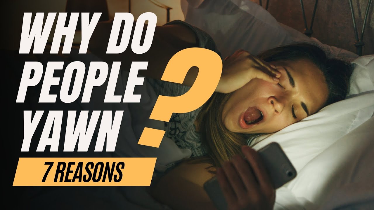 Why do people yawn? 7 reasons - YouTube
