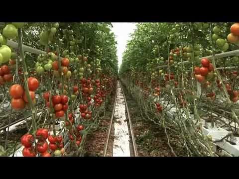 Haifa Multifeed Bigbag - YouTube