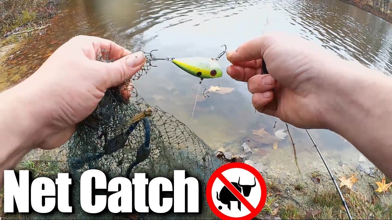 Fishing for BASS but catching a CAST NET - This is REALISTIC FISHING ...