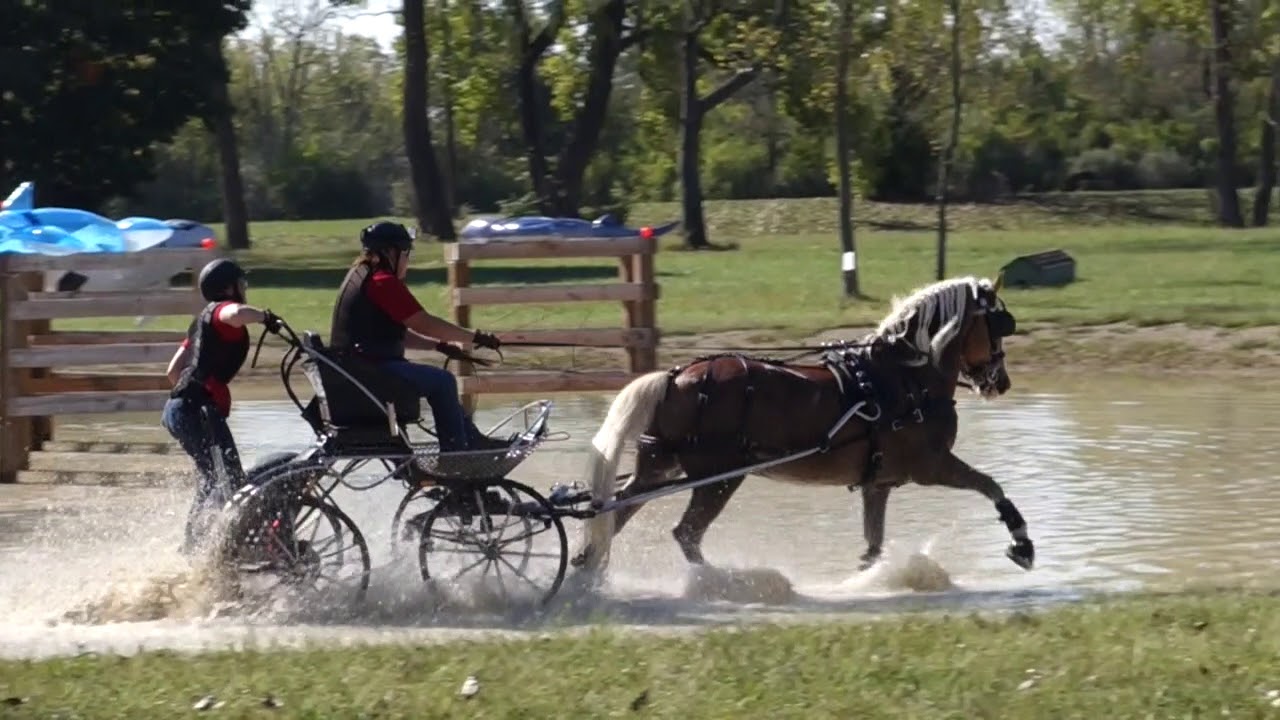 Heather and Noble Indiana CDE - YouTube