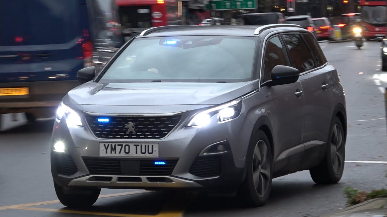 *Operation* Multiple specialist police units swarm the surrounding area ...