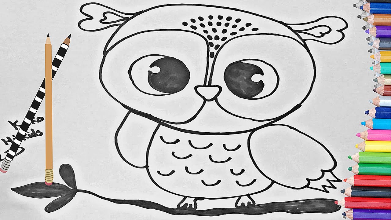 اتعلم رسم بومه خطوه بخطوه رسم بومه سهله جدا للمبتدئين Youtube