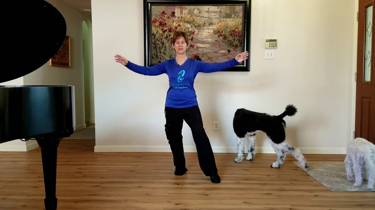 Tai Chi Kicks - YouTube