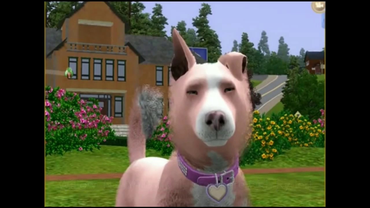 A Teenaged Love Episode 4 (Sims 3 Pets Story) - YouTube
