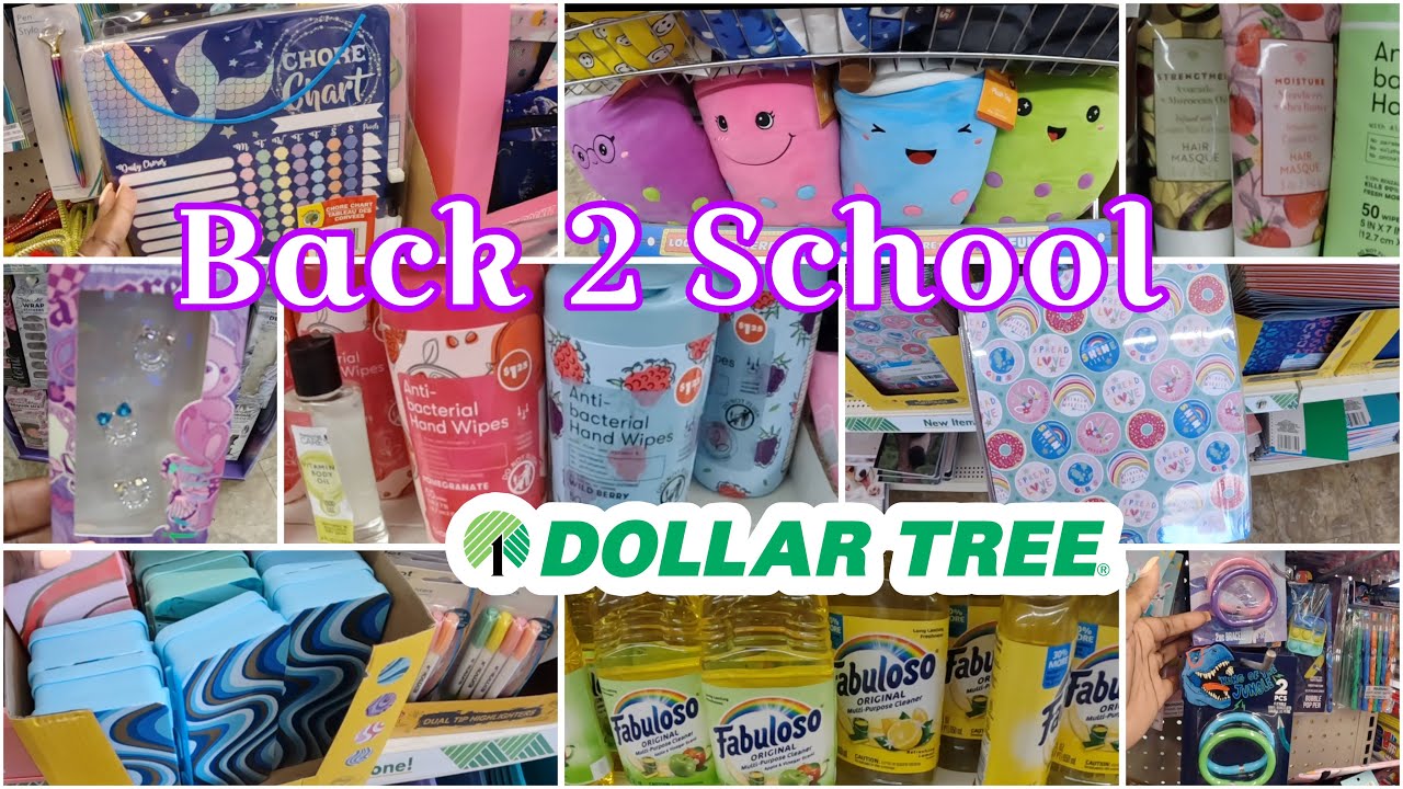 Dollar Tree Back 2 School Supplies 2025 * New Cleaning Supplies Beauty Finds & More - YouTube