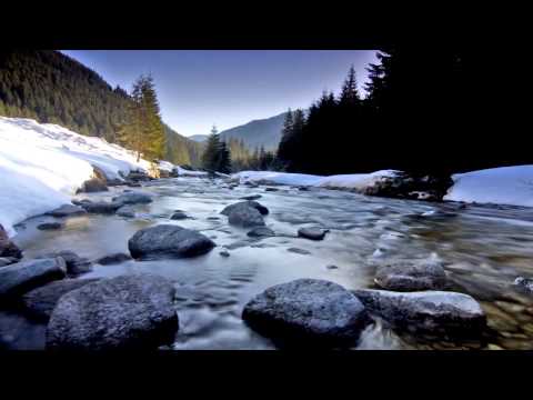 Relax Müzik - Hareketli Fon Müzik