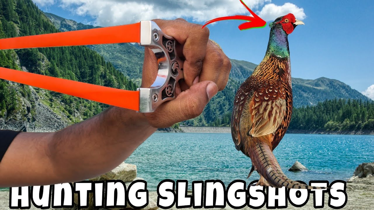 Pure Stainless Steel Hunting Slingshots For Birds Hunting | Outdoor ...