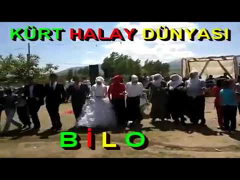 TATVAN SARI KUM KÖYÜ DÜĞÜNÜ GELİN DAMAT ÇOLUK COCUK GRANİ KÖY DÜĞÜNÜ