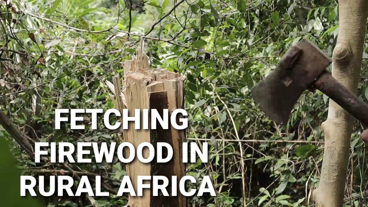 The Day I followed Them to Fetch Firewood in the Village - YouTube