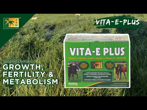 Vita E Plus