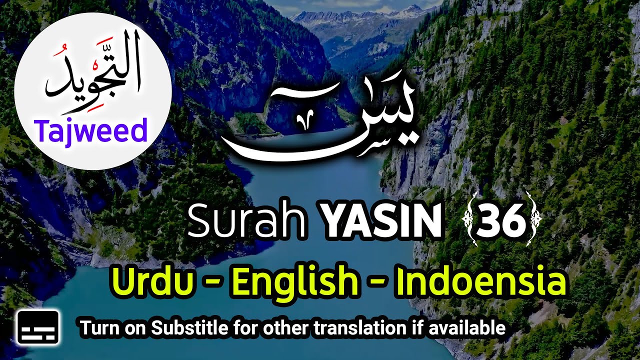 Surah YASIN dengan Tajwid (English, Urdu, Indonesia) 🕋 Kode Taubat ...