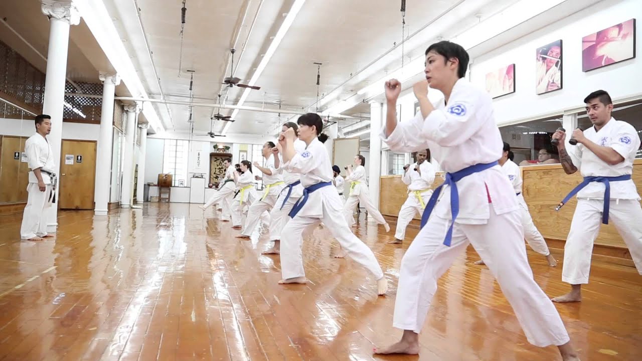 Seido Promo Current edit 2015 - YouTube