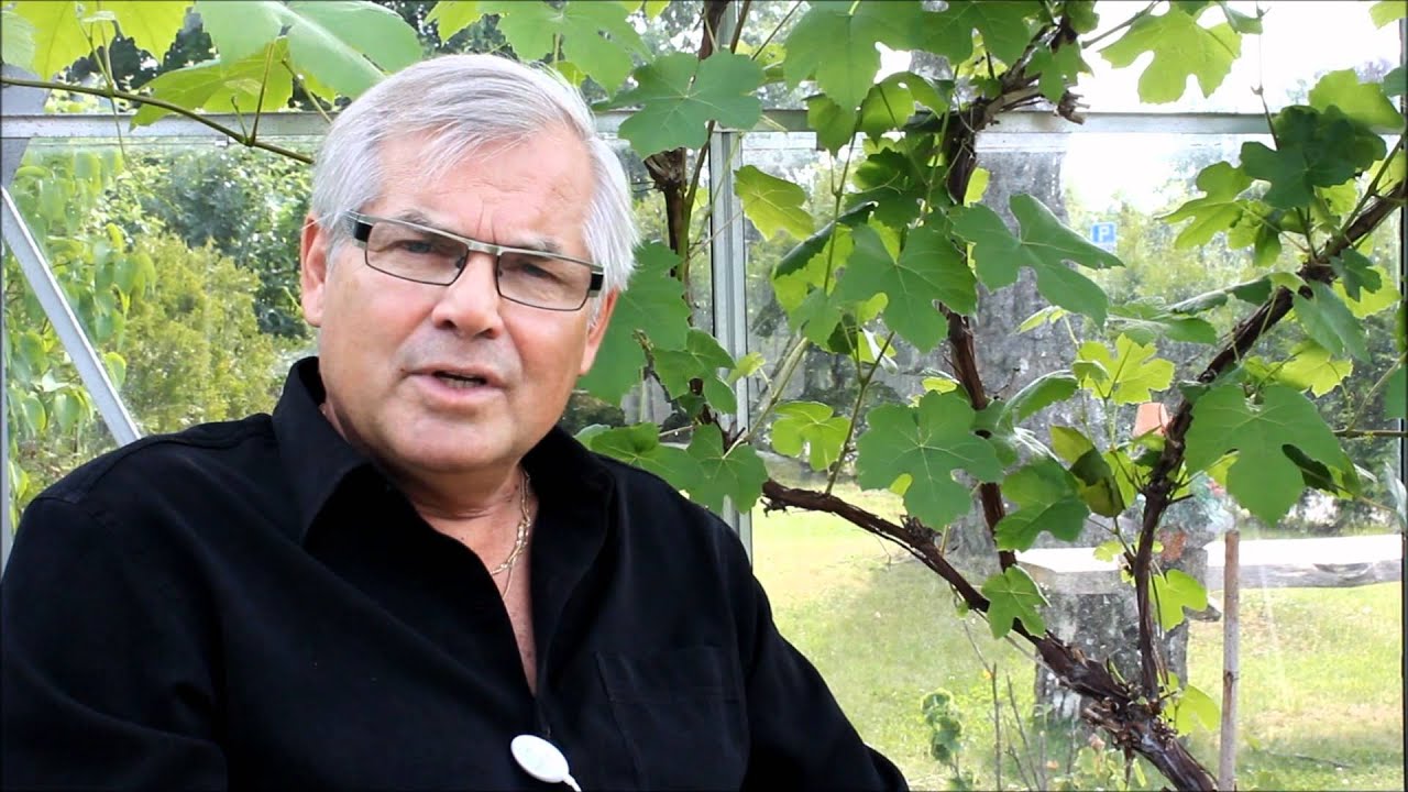 Utbildare i marknadsföring Stephan Philipson.wmv - YouTube