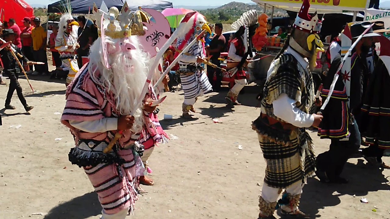 Fariseos del Coloso alto 2019 burrito 3 - YouTube