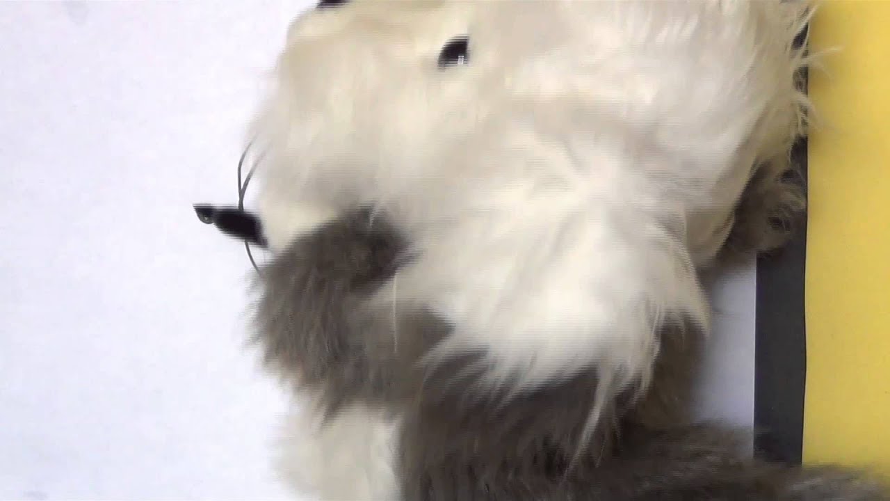 RUFF SKETCHES How to Draw a Smiling Sunshine - YouTube