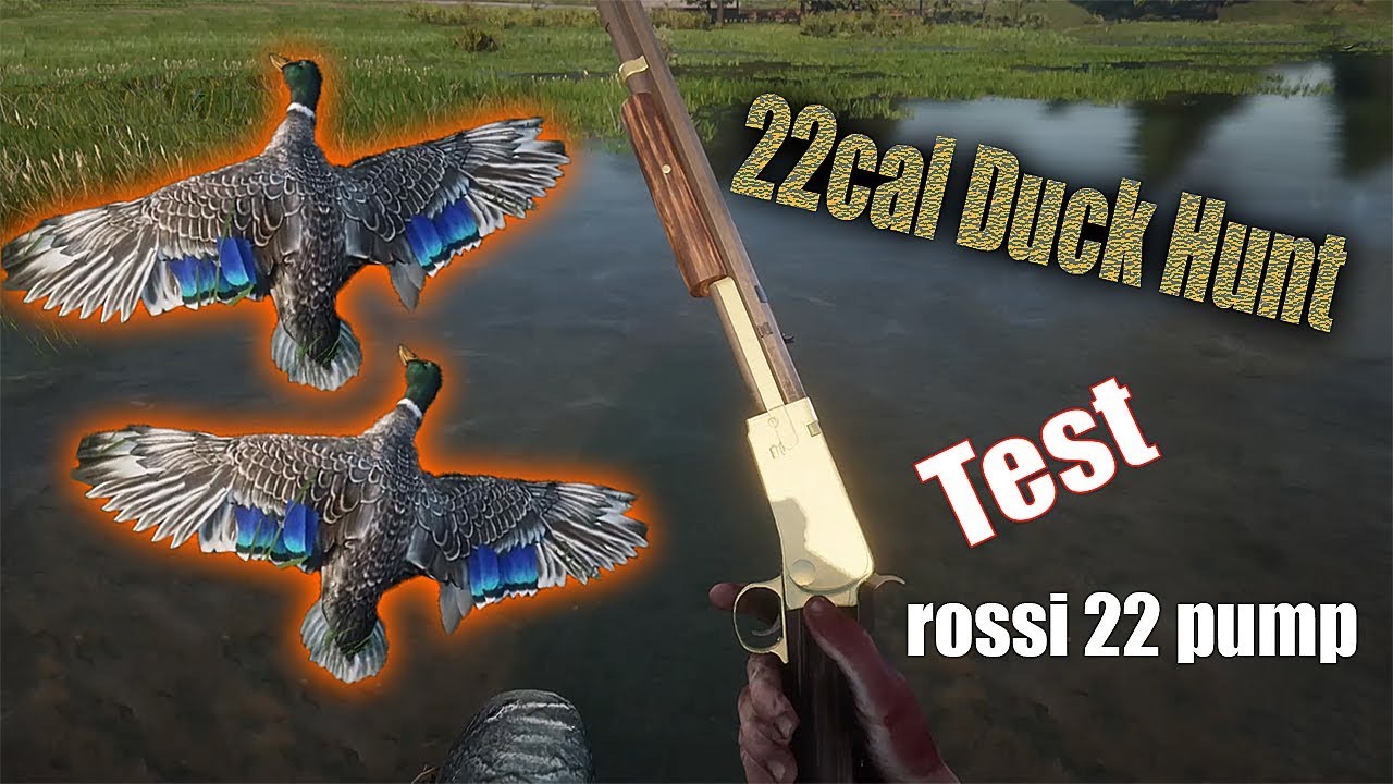 Rdr2 Duck Hunt Gold Rossi 22 pump - YouTube