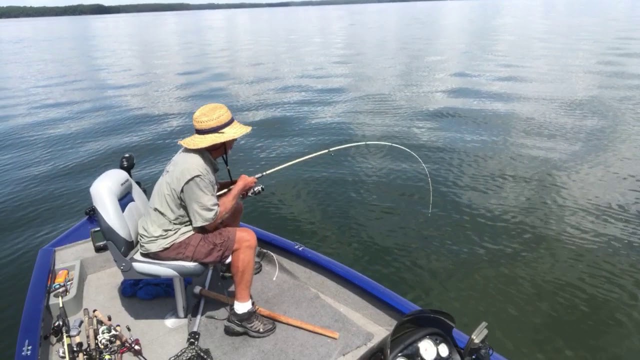 The Art of Making Fish Bite - YouTube