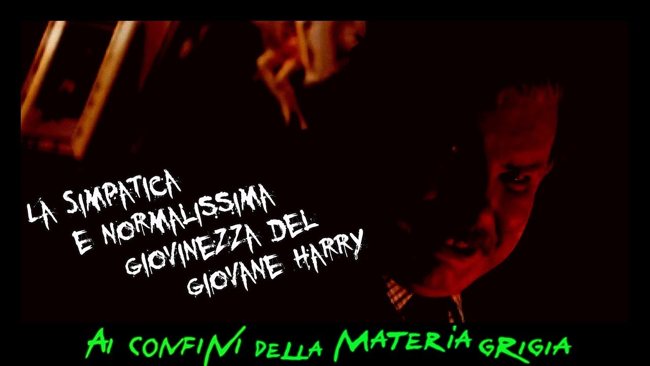 ACDMG 1 - La SIMPATICA e NORMALISSIMA giovinezza del GIOVANE HARRY ...