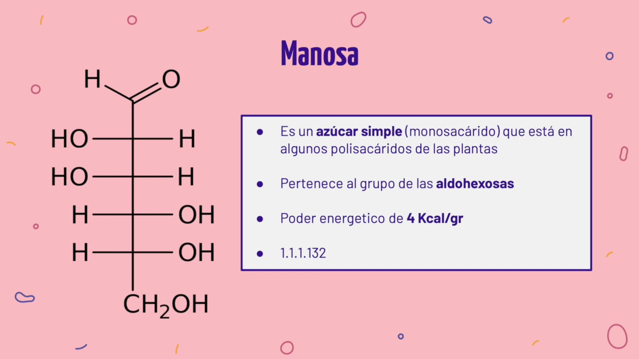 Metabolismo de fructosa y manosa - YouTube