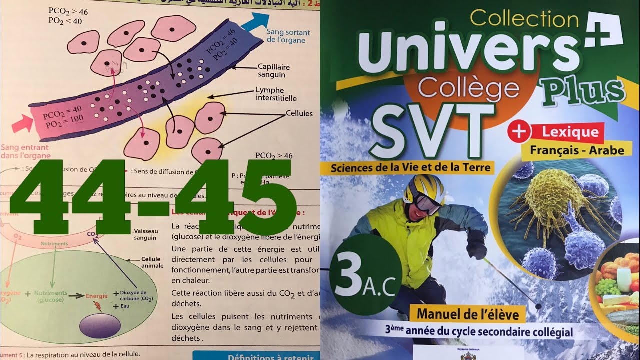 Univers SVT 3AC biof. Chapitre3 . la respiration chez l'Homme. Séquence ...