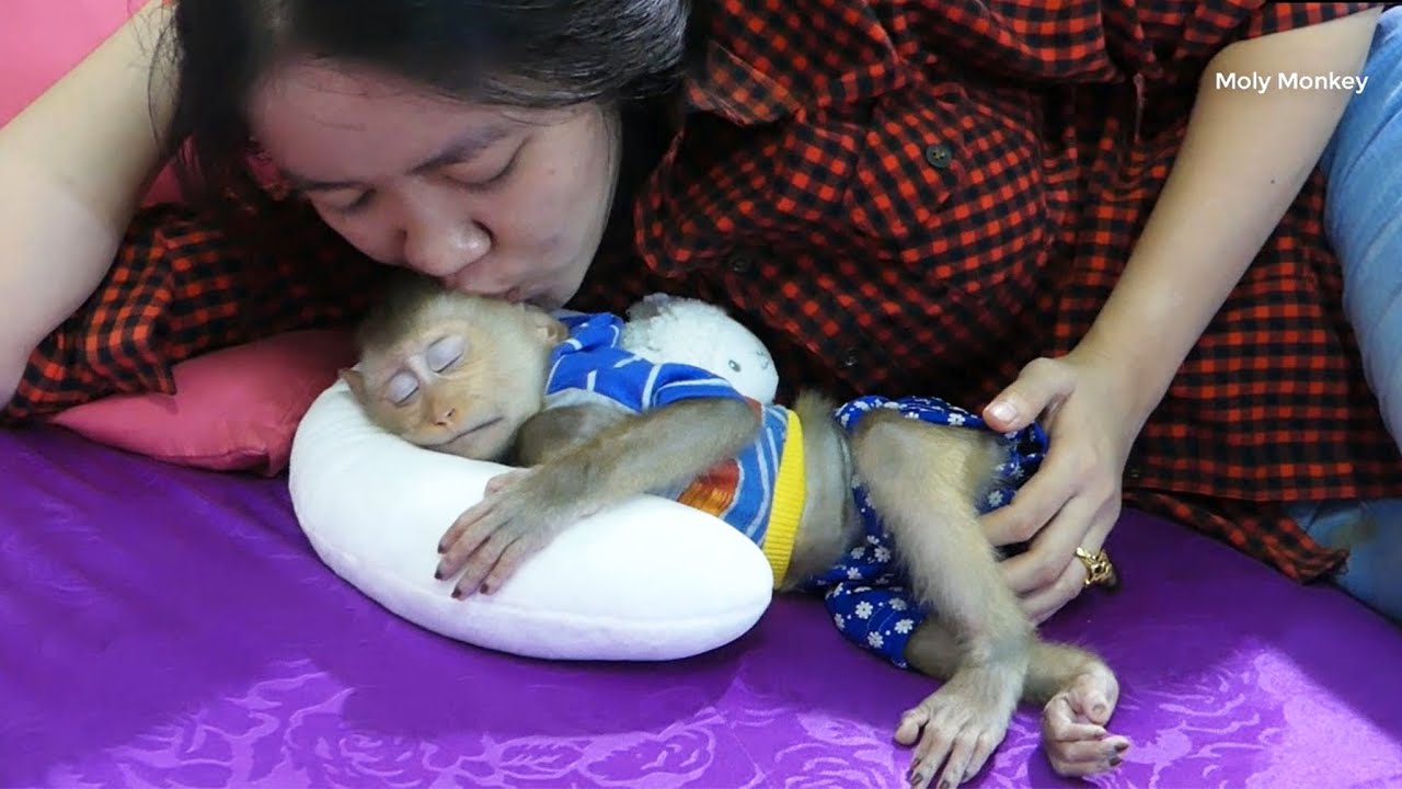 Molly Sleep With Warming Of Mom, Molly Got Good Care By Mom & Get Much ...