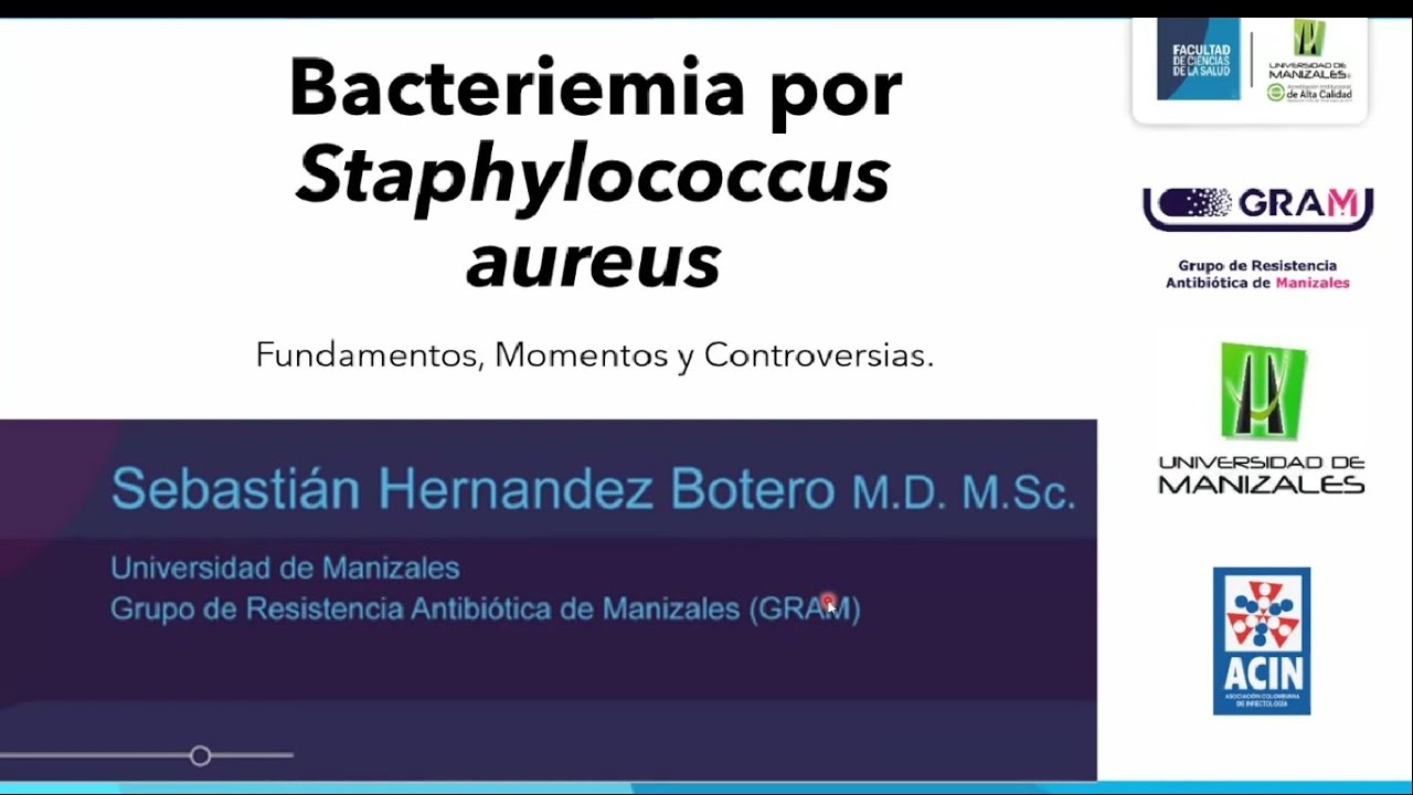 Bacteriemia Por Staphylococcus Aureus Youtube
