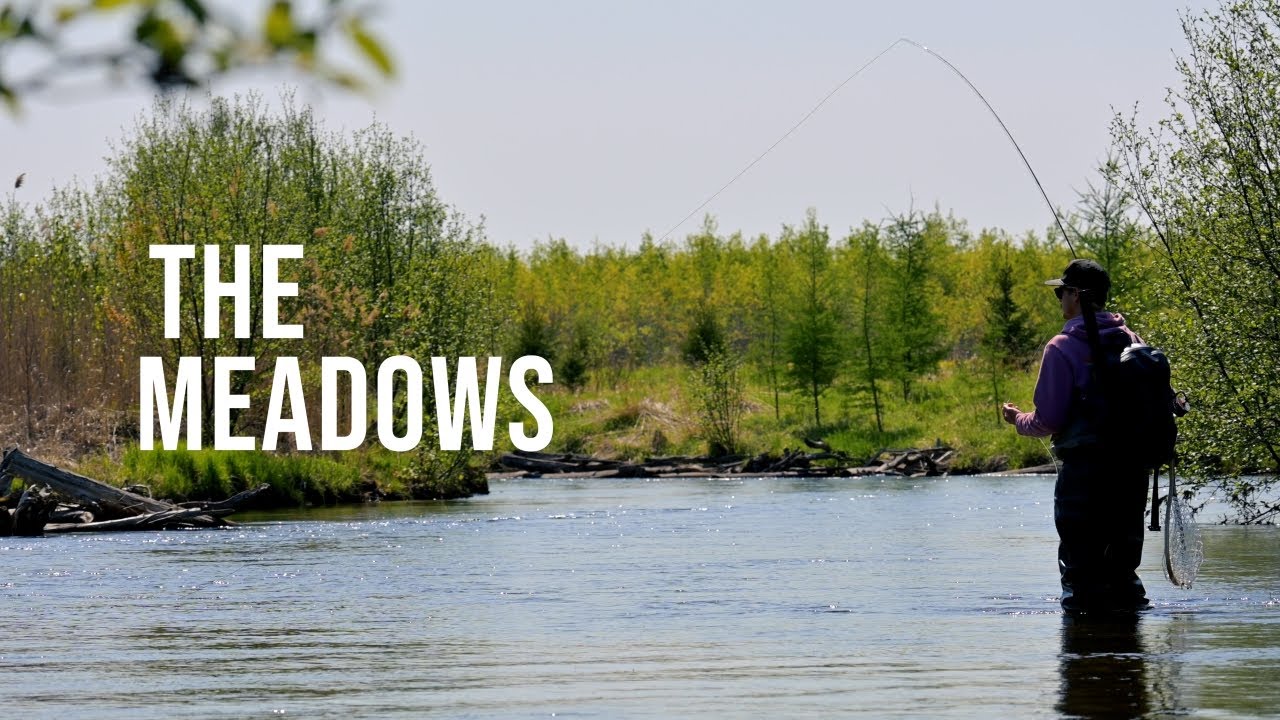 The Meadows - YouTube