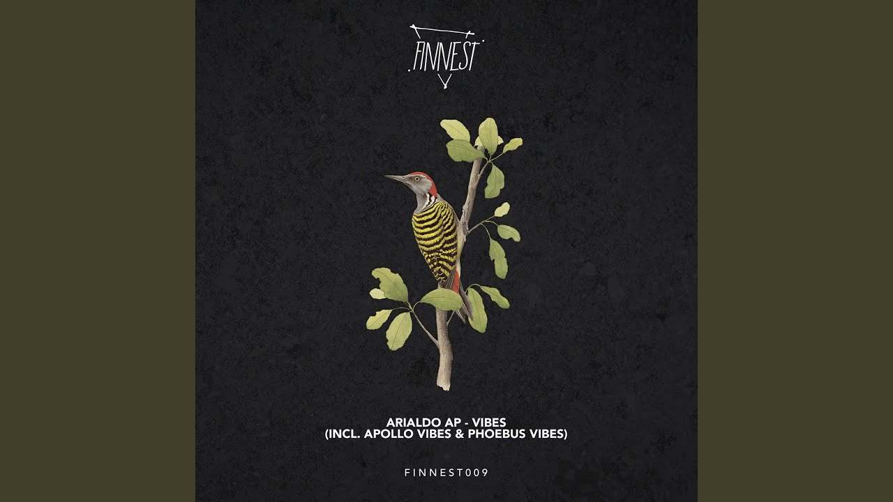 Apollo Vibes - YouTube