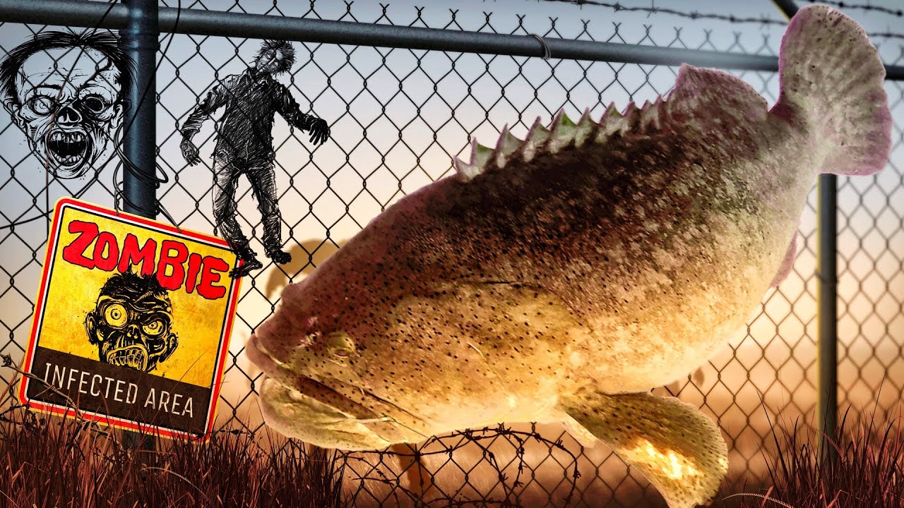 # 1 Unusual Fishing Challenge!!! Zombait Zombie Lure Will It Out Fish ...