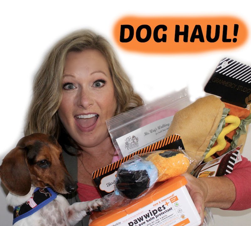 DOG HAUL! - YouTube