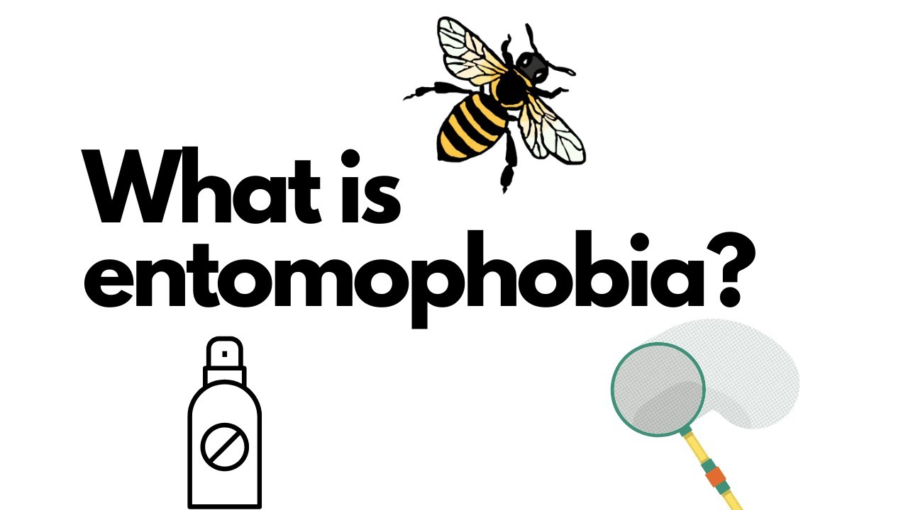 what is Entomophobia & how can you solve it? - YouTube