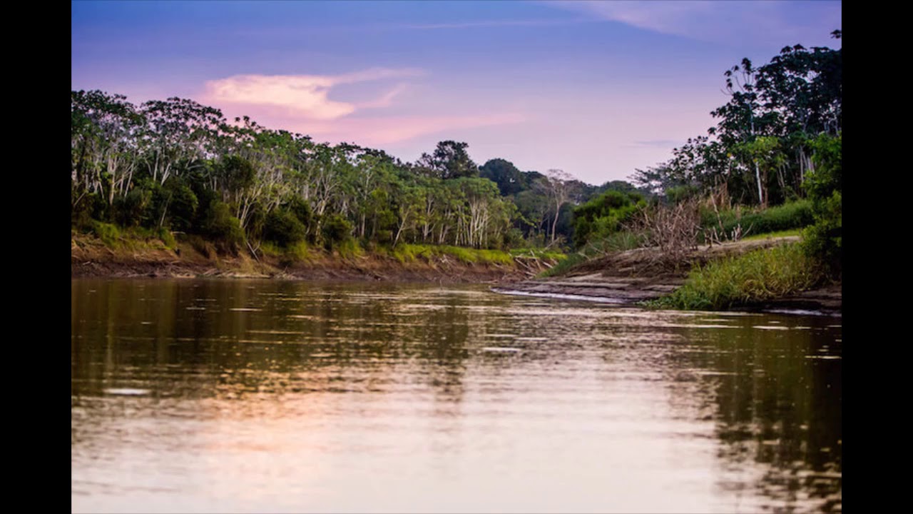 Amazon River song - YouTube