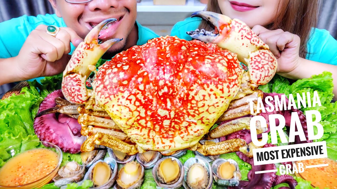 ASMR EATING TASMANIA CRAB - MOST EXPENSIVE CRAB ON THE WORLD X OCTOPUS ...