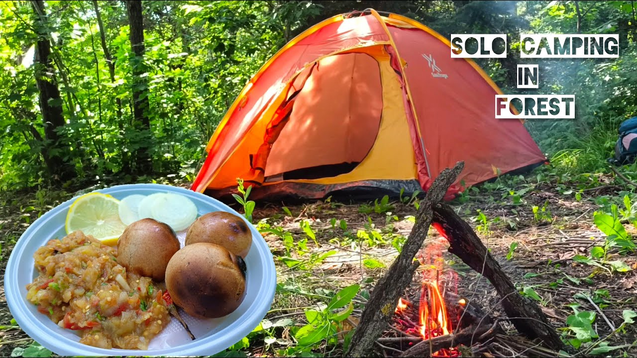 ASMR Solo Camping In The Forest - Relaxing With Nature Sound - YouTube