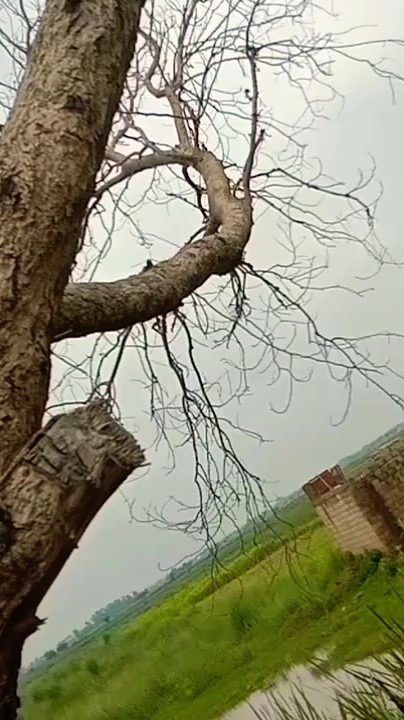 AJ FARMHOUSE PAY BHRA HARA DRAHT SOOKH GYA#@MN_VILOGS25 #MN_VILOGS # ...