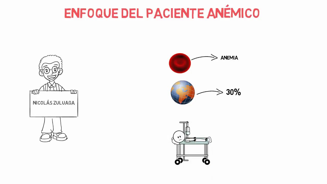 Enfoque del paciente anémico - Parte 1 - YouTube