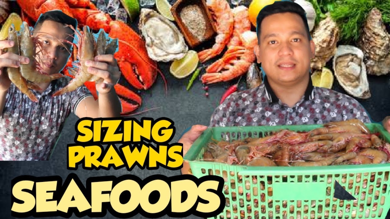 SEAFOODS SIZING PRAWNS, I TEACH YOU HOW TO SIZING - YouTube