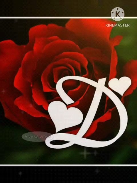 D🌹 Letter Status 🌹 What's app status 🌹🌹🌹🌹 - YouTube