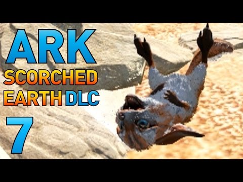[7] CUDDLING BABY JERBOA AND WYVERN FIGHTS!!! (ARK Scorched Earth ...