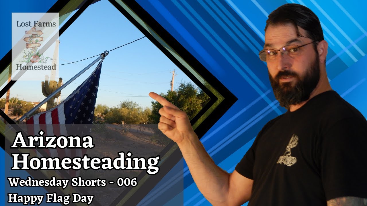 Wednesday Shorts - 006 (Flag Day) - YouTube